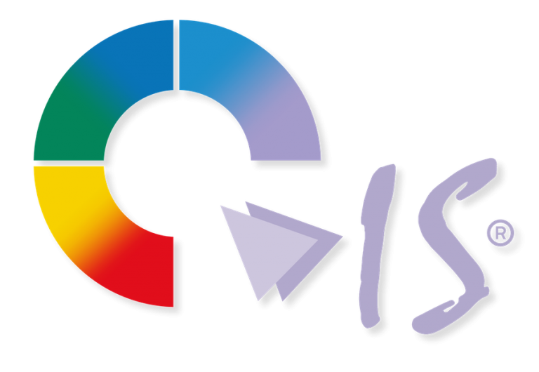 PAST-Modelo QIS® – qis.mx